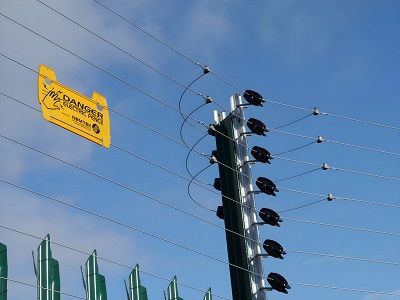 Complete Electric Fence Installation on 50 by 100 Plot – Carovault ...